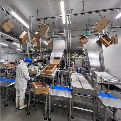 Convoyeur à câble Orion System